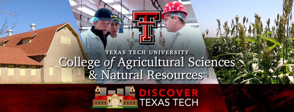 TTU College of Agricultural Science – Lubbock Cultural District