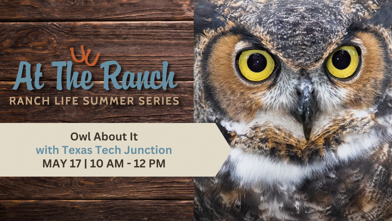 Owl About It: At the Ranch Life Summer Series | Texas Tech Junction ...