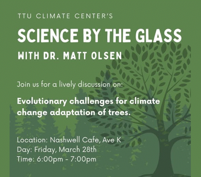 matt olsen science by glass nashwell – Lubbock Cultural District
